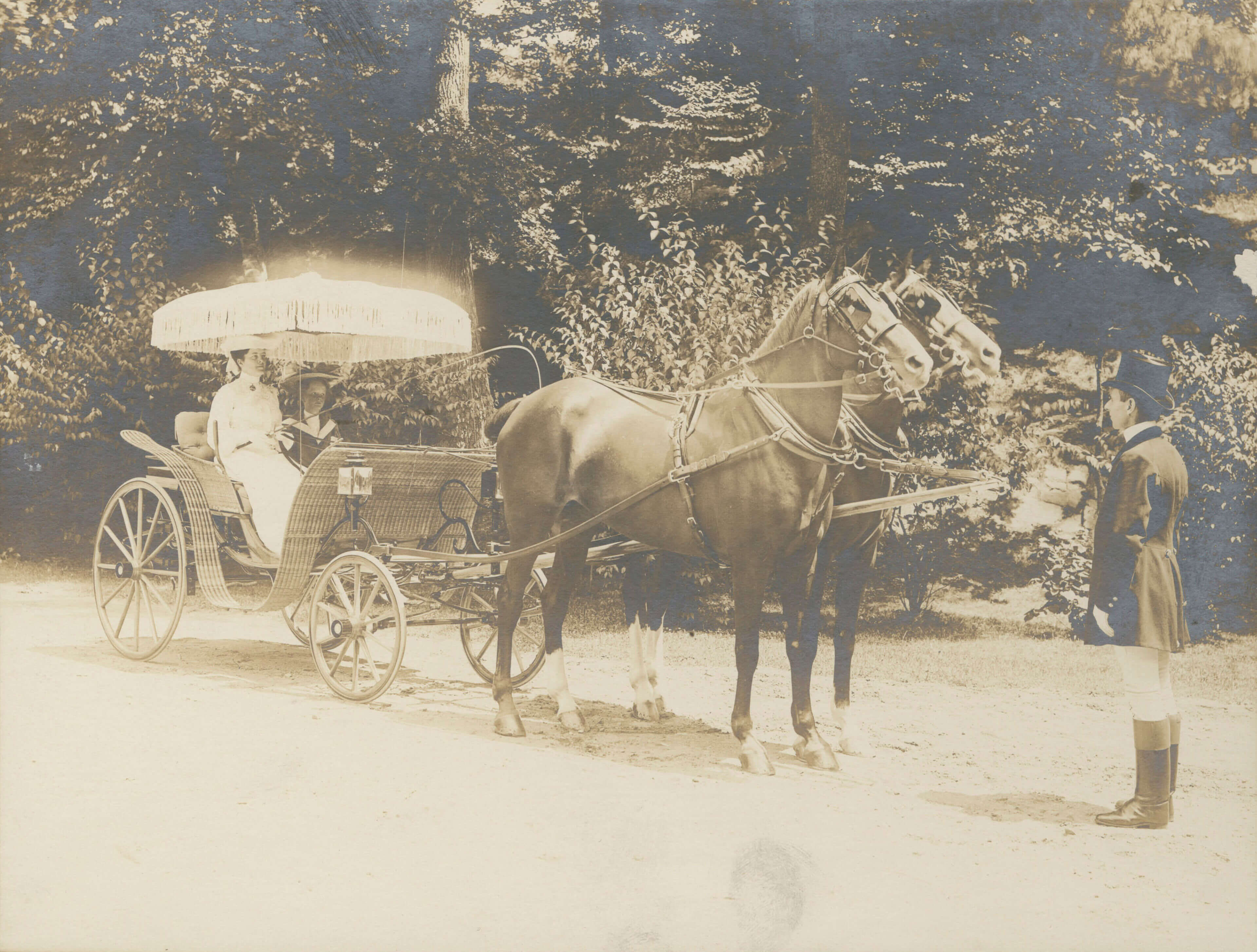 Driving Herself: Adelaide Howard Childs Frick's Love of Horses