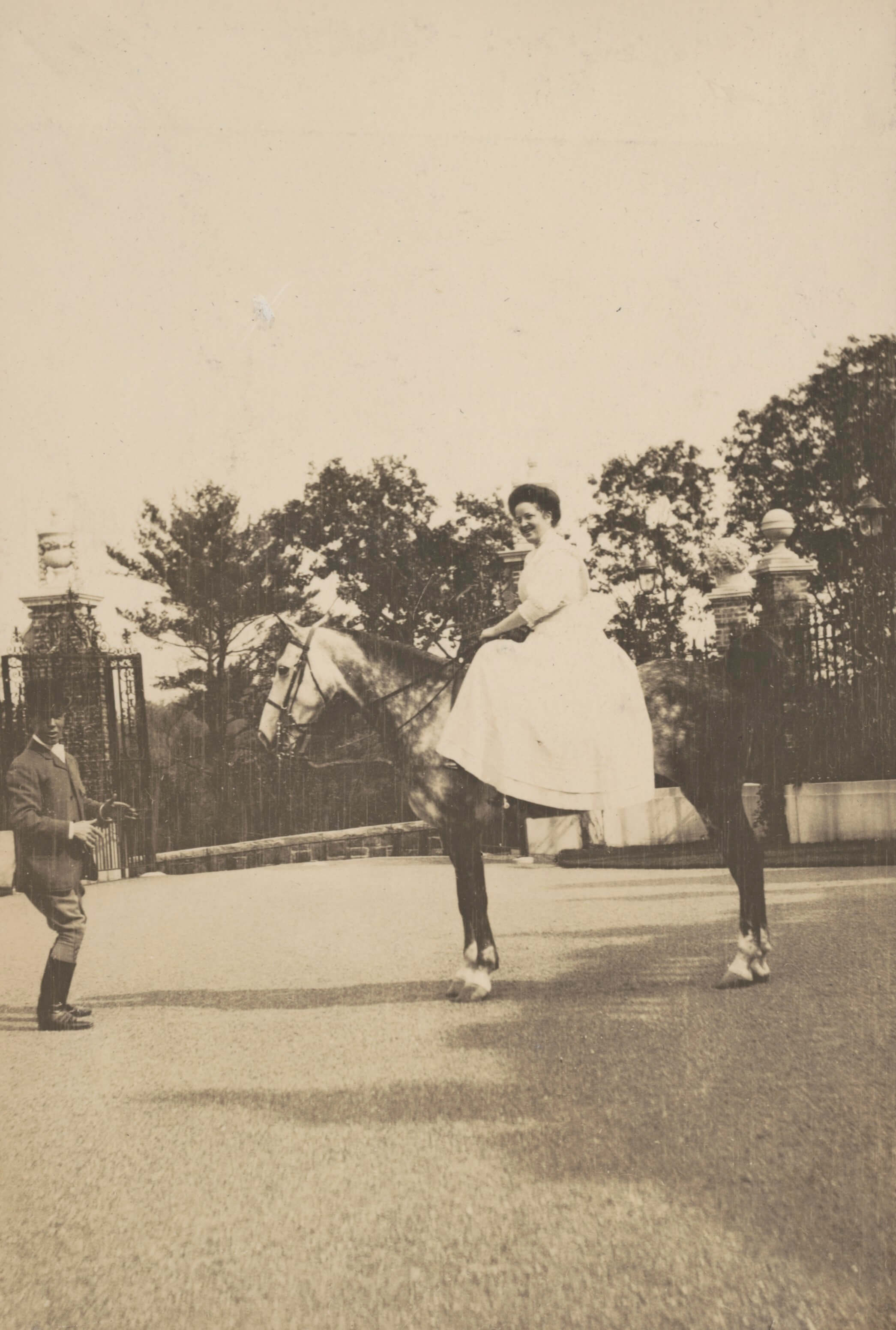 Driving Herself: Adelaide Howard Childs Frick's Love of Horses