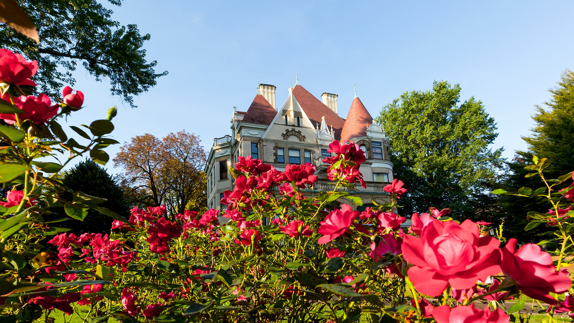 Zoom Backgrounds | The Frick Pittsburgh