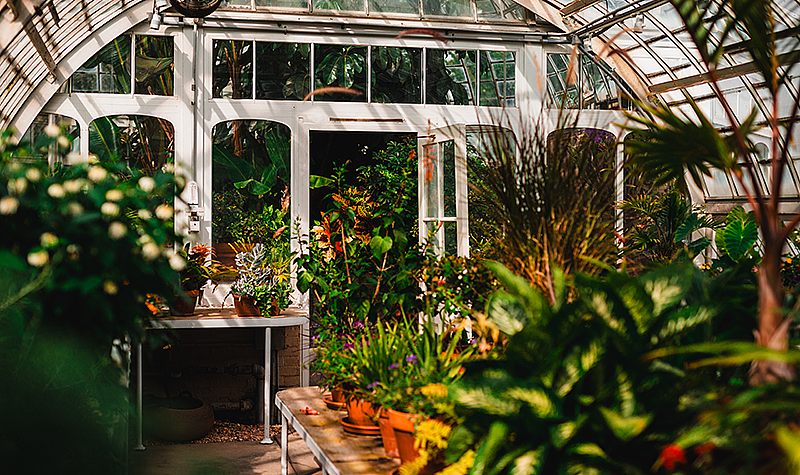 Greenhouse and Gardens | The Frick Pittsburgh Museums & Gardens