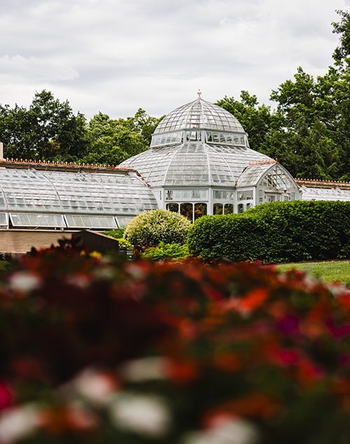 Home | The Frick Pittsburgh Museums and Gardens