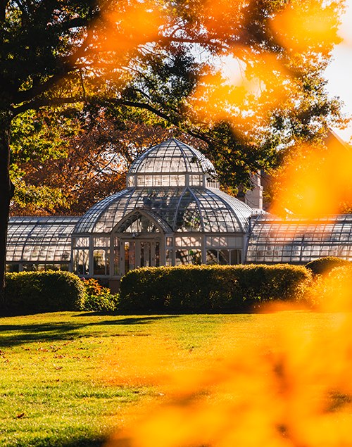 Home | The Frick Pittsburgh Museums and Gardens