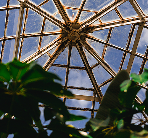 The Frick Greenhouse