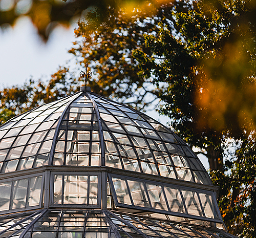 The Frick Greenhouse