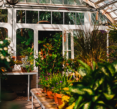 The Frick Greenhouse