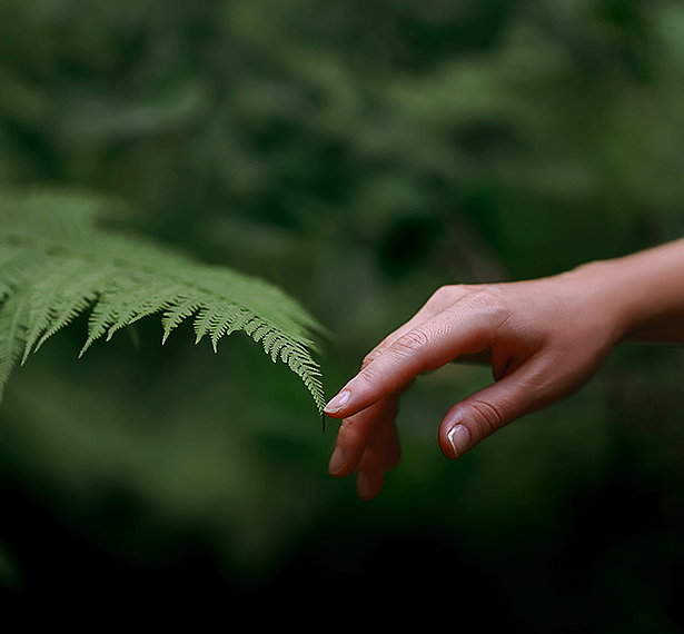 Forest Bathing: Mindful Nature Experience | Nov 8, 2025 | The Frick ...