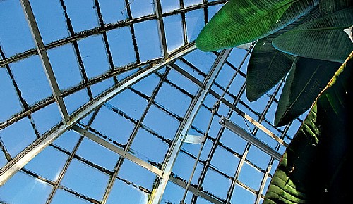 Image and Video Gallery | The Frick Pittsburgh Museums & Gardens
