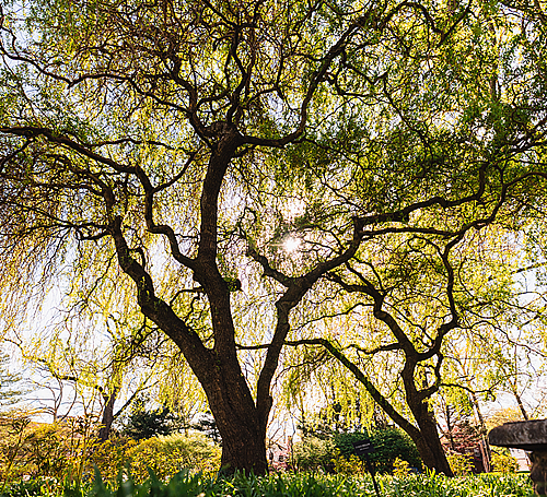 Home | The Frick Pittsburgh Museums & Gardens
