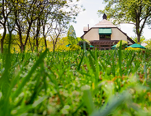 See and Do | The Frick Pittsburgh